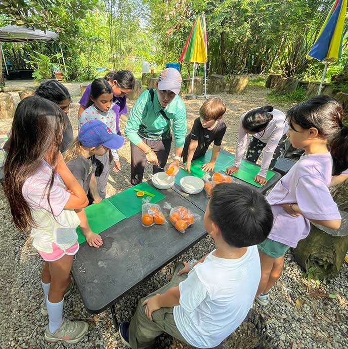 Turtle Conservation & Raft Races: Kids Camp at Batu Batu 2026 - Little ...