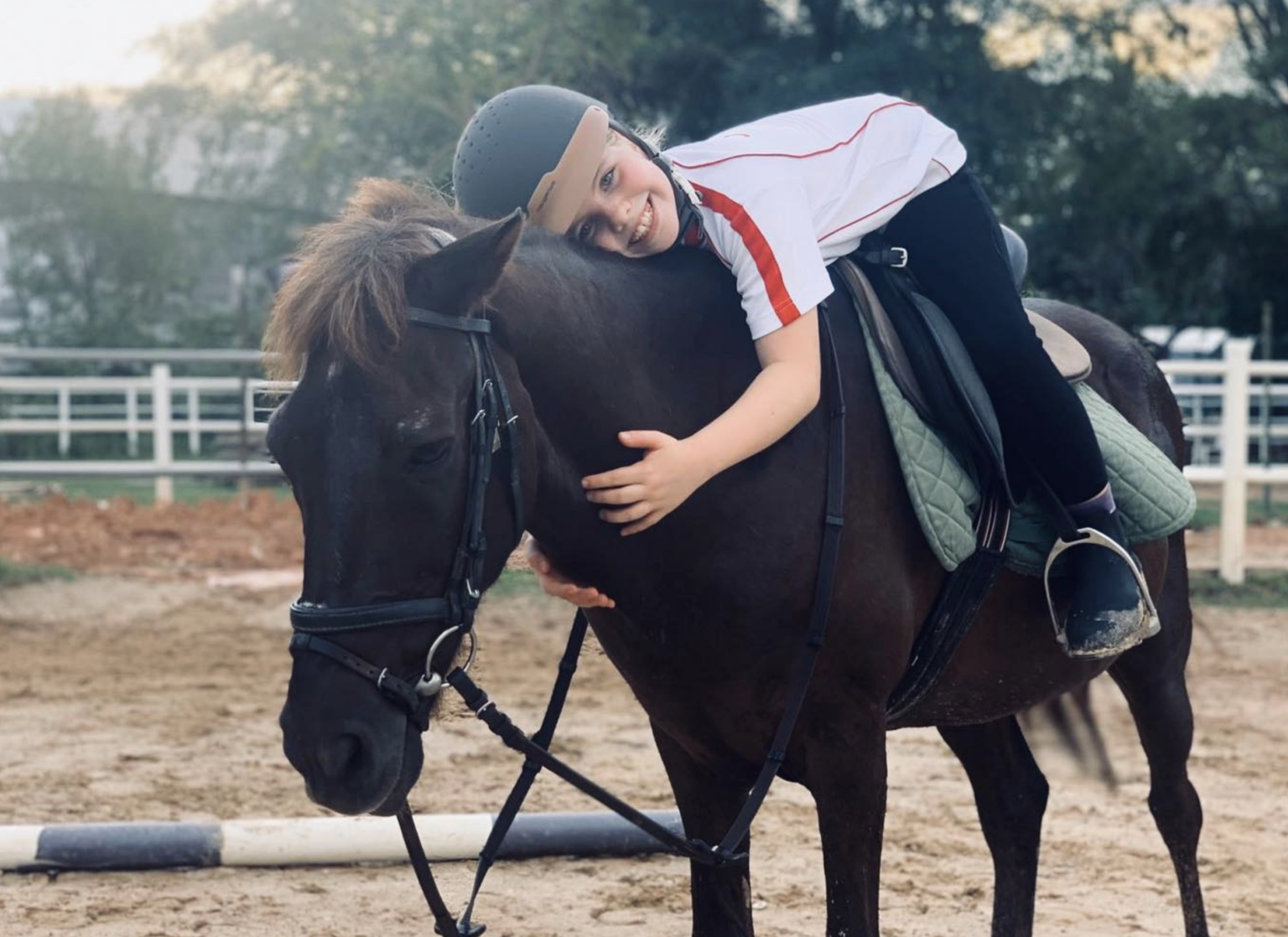 Gallop Stables At Horse City And Pasir Ris In Singapore | Little Steps