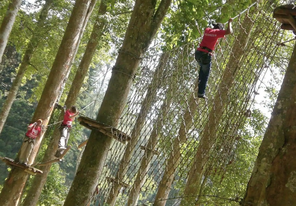 Bali Treetop Adventure Park In Bedugul, Bali - Little Steps