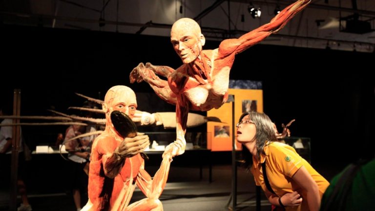 Human Body Exhibition In Singapore | Little Steps
