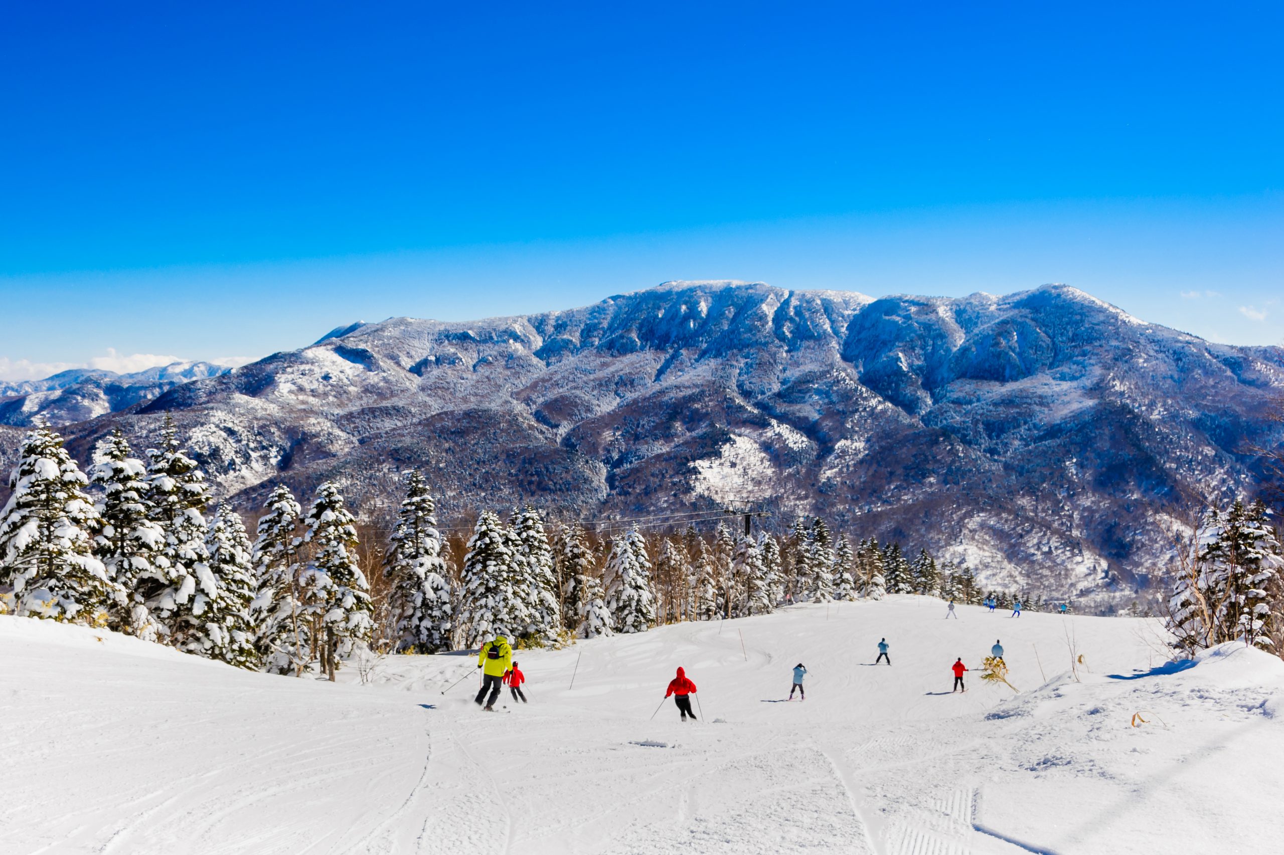 Top 10 Family Ski Resorts In Japan Beyond Niseko And Hakuba | Little Steps