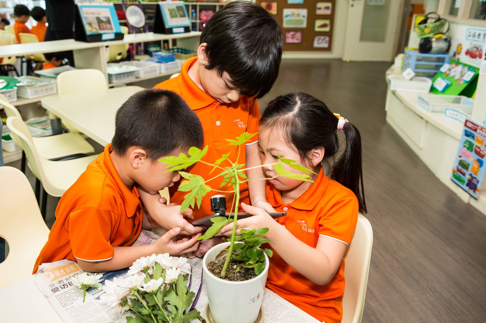 Top Quality Holistic Curriculum With My First Skool Singapore - Little ...