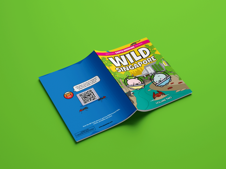 Piqolo Kids Exploration Activity Books In Singapore - Little Steps